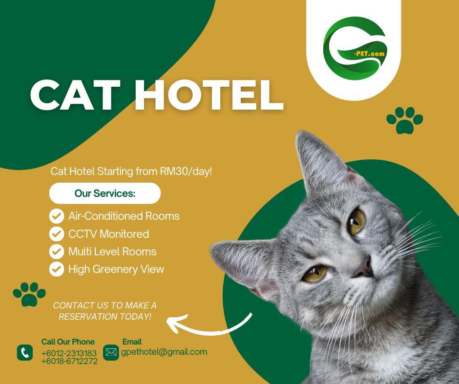 Cat Hotel-G-Pet Training and Boarding Centre | Petopedia
